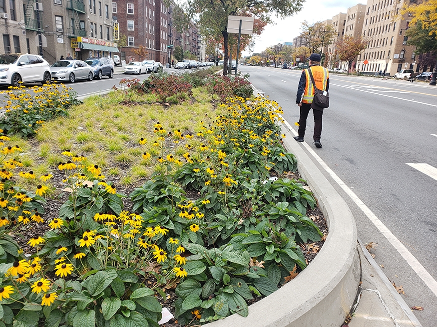 Street Median Design